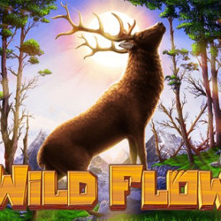 Wild Flow (Habanero) Slot Review + Free Demo 2025 🎰